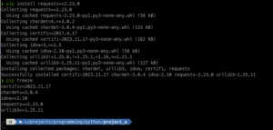 Python Virtual Environment (venv): easy guide for beginners - TMS Developer Blog
